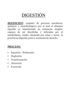 Definición de Ingestión » Qué es, Significado y Concepto